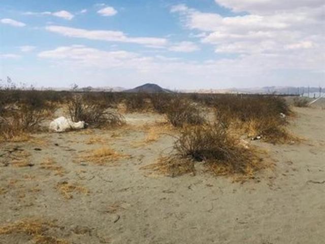 Oasis Rd, Phelan, CA 92371