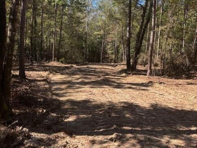 O'Banner Loop, Brooklyn, MS 39425