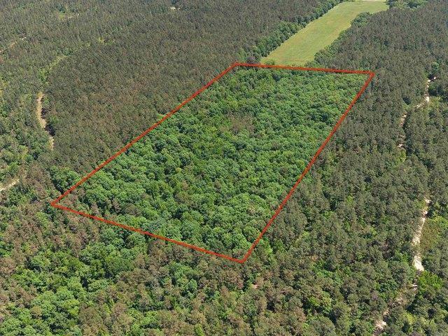 Obar Ln, Langley, AR 71952