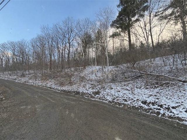 Obrien Rd N, Savona, NY 14879