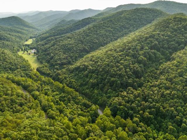 Ogles Creek Rd, Covington, VA 24426
