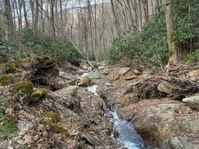 Ogles Gap Rd, Burnsville, NC 28714