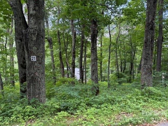 Odalu Trl Lot 21, Maggie Valley, NC 28751