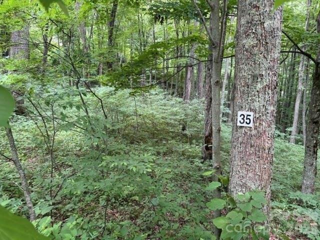 Odalu Trl Lot 35, Maggie Valley, NC 28751
