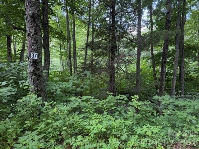 Odalu Trl Lot 37, Maggie Valley, NC 28751