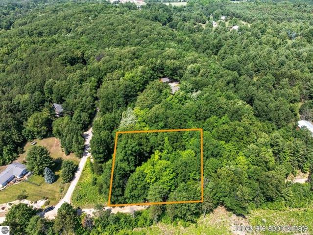 Odell Rd, Williamsburg, MI 49690