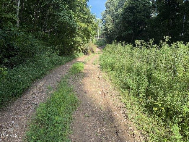 Of Williams Ln, Butler, TN 37640