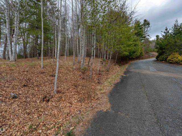 Of Forge Creek Rd Lot 4, Mountain City, TN 37683