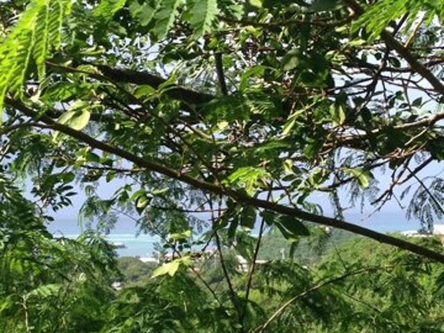 Of Mt, Saint Croix, Plot For Sale