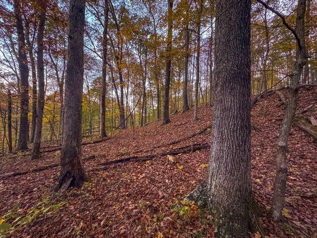 Of Rd # 7, Le Roy, WV 25252