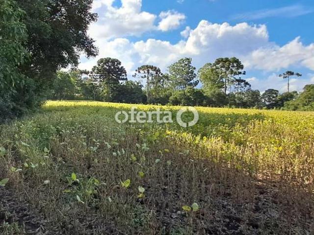 OFERTA 1479 CHÁCARA EM ARAUCÁRIA