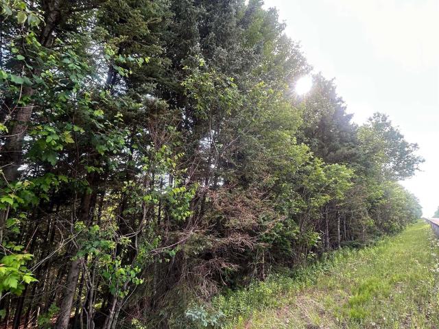 Off Co Rd 480 & Old Co Rd 480 Road