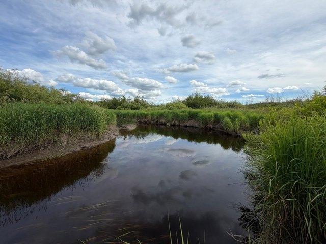 Off Cth # M, Merrill, WI 54452