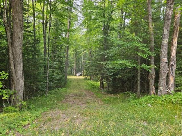Off Cth # K, Conover, WI 54519