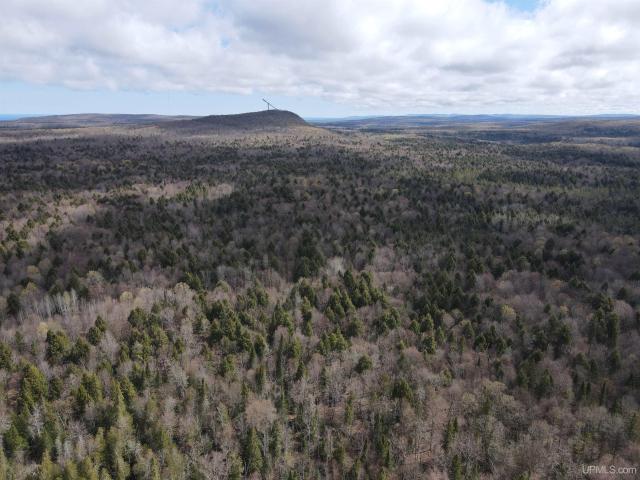 Off Black River Road