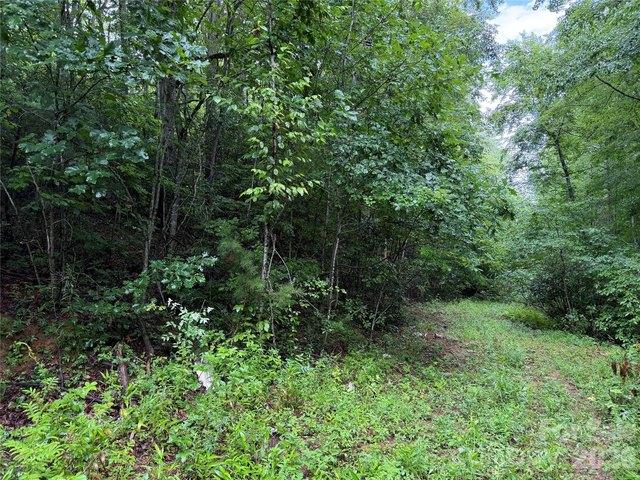 Off Donald McCall Rd, Balsam Grove, NC 28708