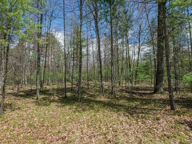 Off Eagle Waters Rd Units 4 & 5, Eagle River, WI 54521