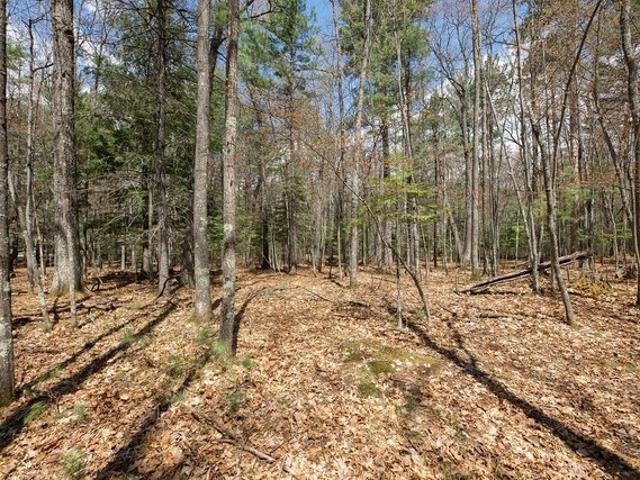 Off Eagle Waters Rd Units 6 & 7, Eagle River, WI 54521