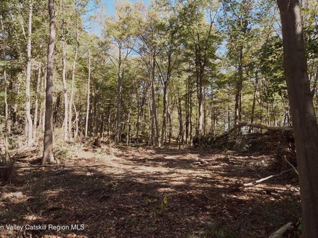 Off Flatbush Ave, Kingston, NY 12401