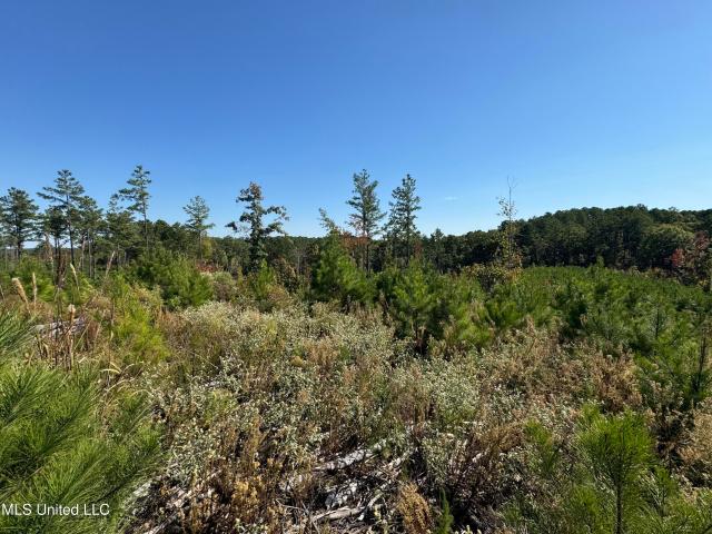 Off Highway 65, Coffeeville, MS 38922