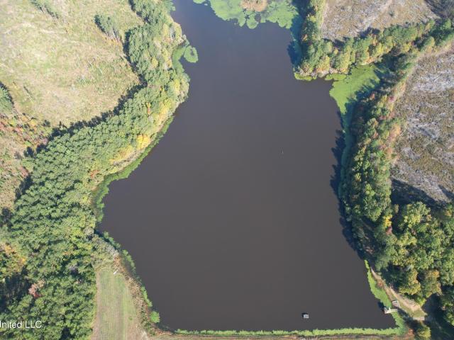 Off Highway 315, Water Valley, MS 38965