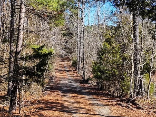 Off J B Morgan Rd, Apex, NC 27523 | MLS #10070
