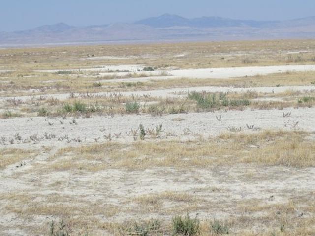 Off of 000 W Crater Island Rd, Lucin, UT 88104