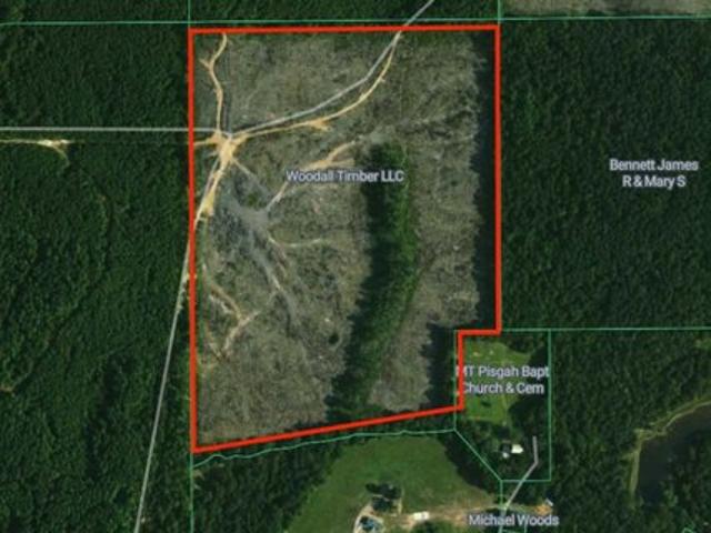 Off of Alva Rd, Duck Hill, MS 38925