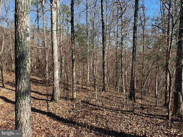 Off Of Diana Mill Road. Tract: Tanager Et2 2023