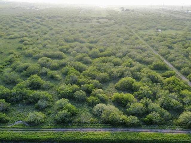 Off of Fm 510, San Benito, TX 78566