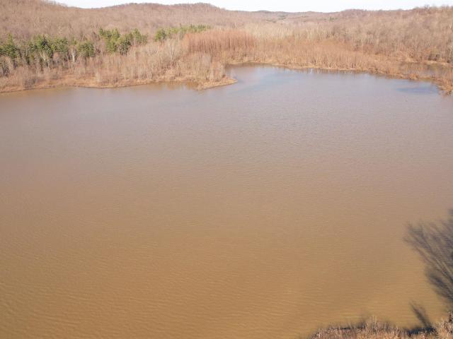 Off Lily Road