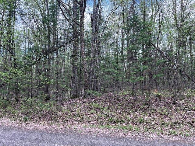 Off Moonshine Valley Rd Lot 14, Presque Isle, WI 54512