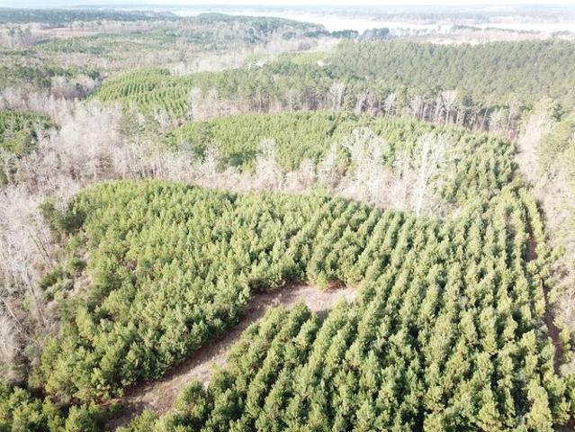 Off McManus Rd, Zwolle, LA 71486