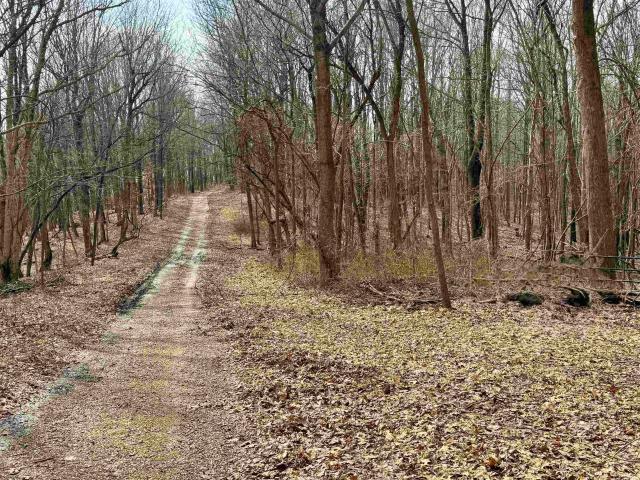 Off New Cut Road