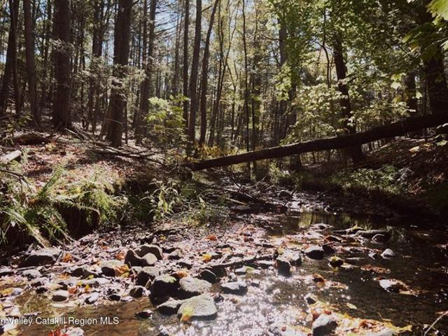 Off Potter Hill Rd, Ulster Park, NY 12401