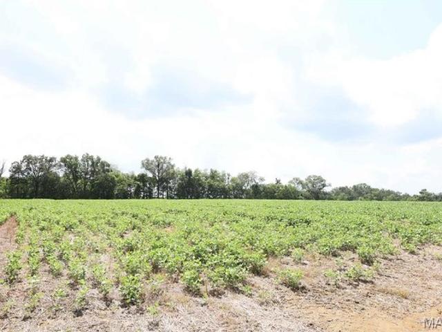 Off Pcr 914 Lot 16, Perryville, MO 63775