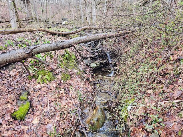 Off plank road