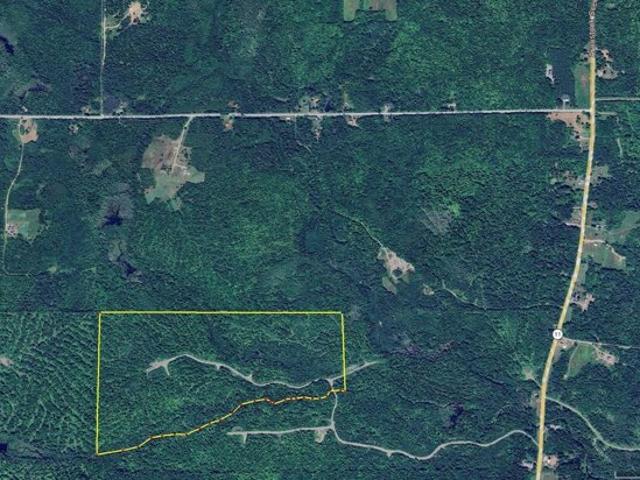 Off Rd N, Mount Chase, Plot For Sale