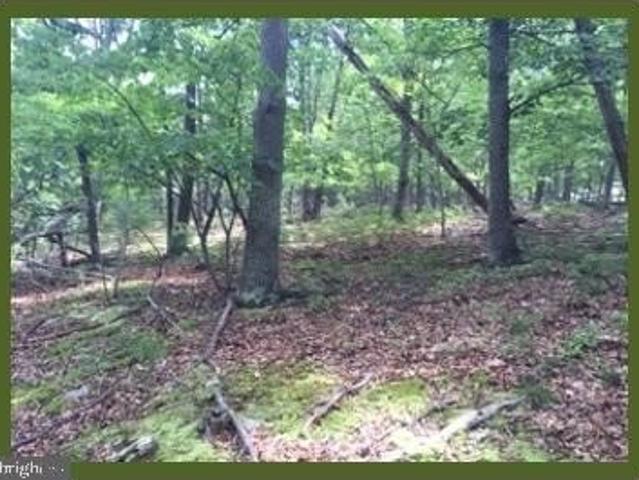 Off Rt 220/Cut off, Keyser, WV 26726