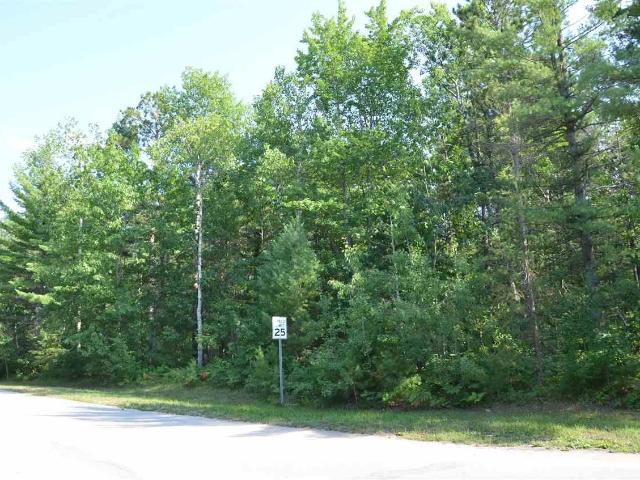Off W Log Lake Road