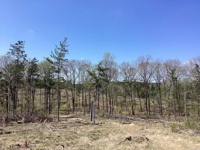 Okolona Rd, Gurdon, AR 71962
