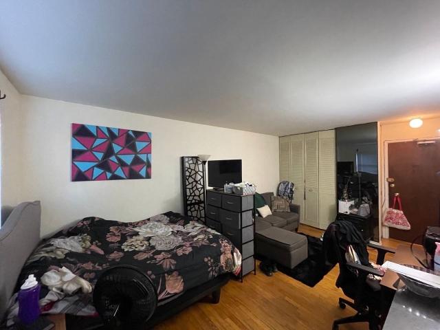 Okonski Briar 535 Studio Apartment for Rent at 535 W Briar Pl, Chicago, IL 60657 Lakeview