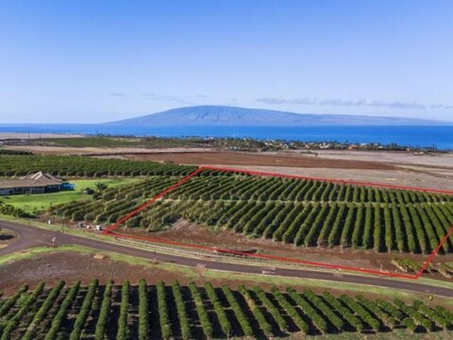 Oka Kope St, Lahaina, Plot For Sale