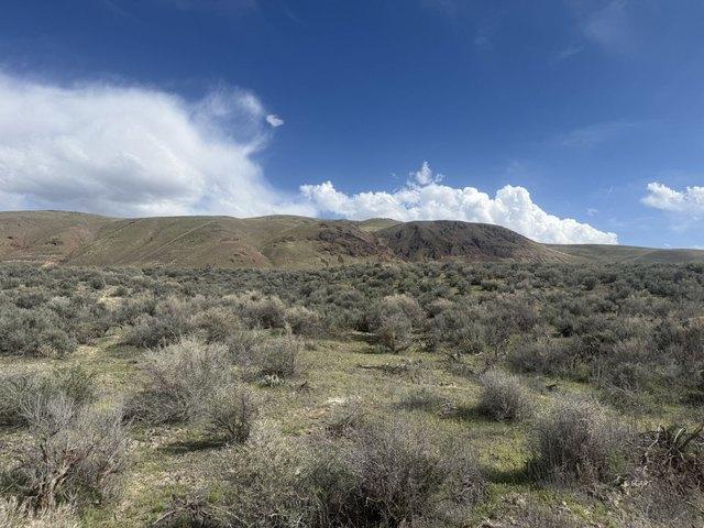 Oklahoma Ave, Elko, NV 89801