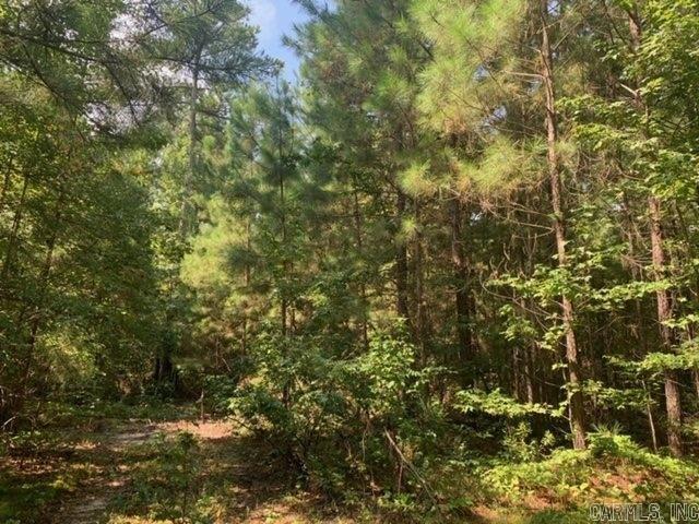 Oklahoma Inn Rd Lot 5, Benton, AR 72015