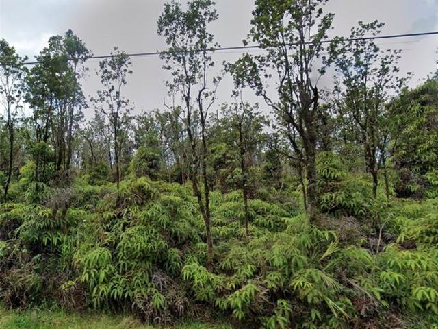 Ohia Ave Unit 21, Mountain View, HI 96771