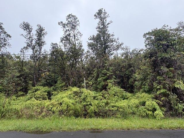 Ohia Ave, Mountain View, HI 96771