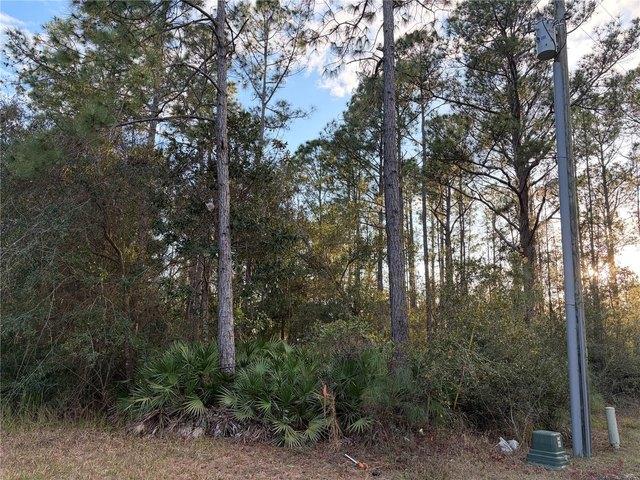 Oil Well Rd, Clermont, FL 34714