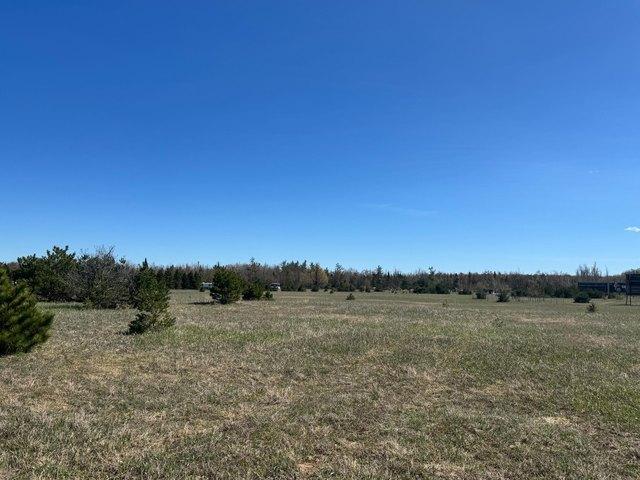 Old 27 Hwy N Parcel C, Vanderbilt, MI 49795