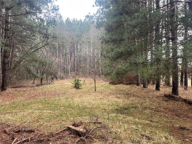 Old 67 Rd, Henning, MN 56551